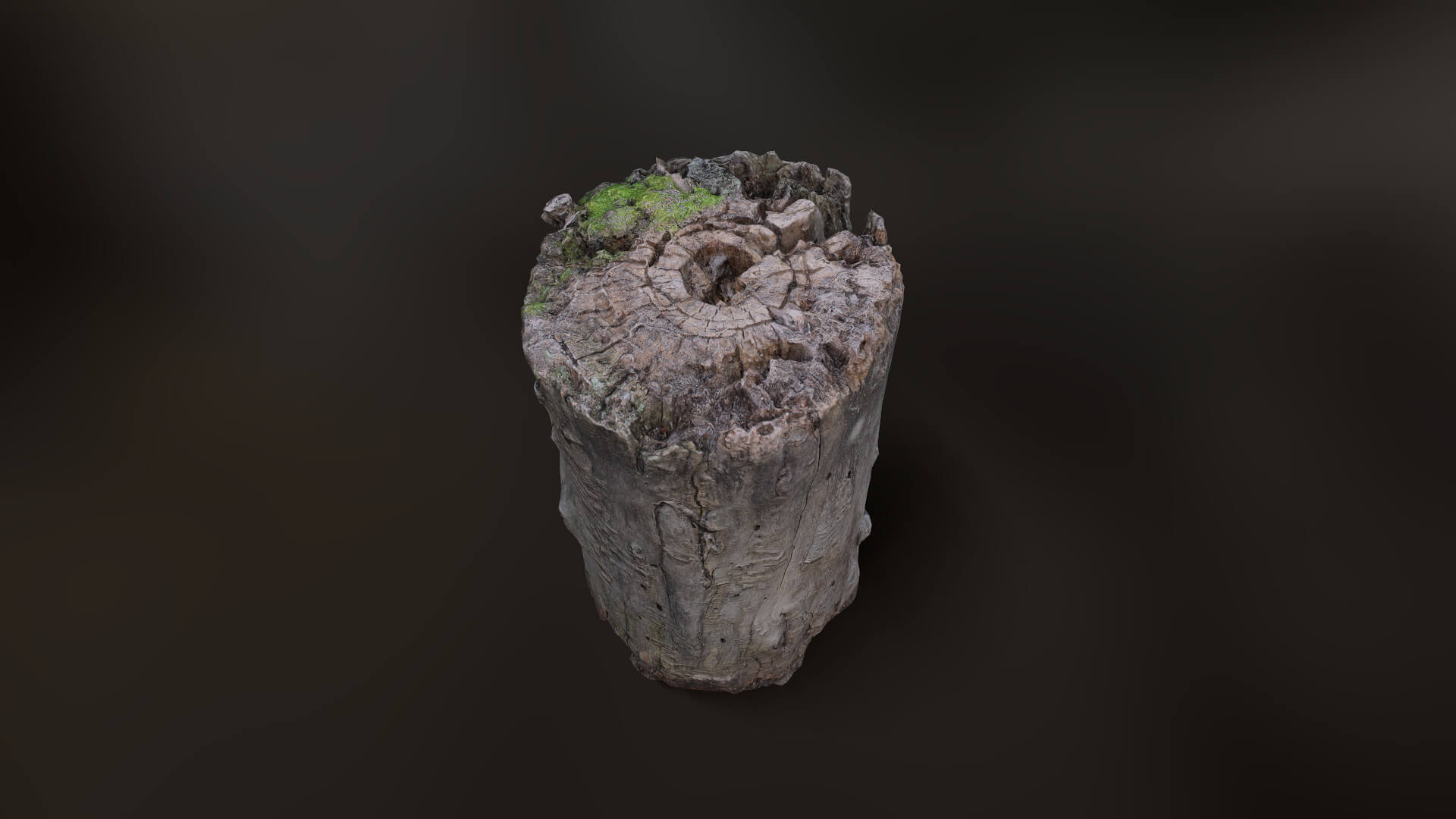 Tree Stump V2 - 3D Model by Grishmanovskij Anton