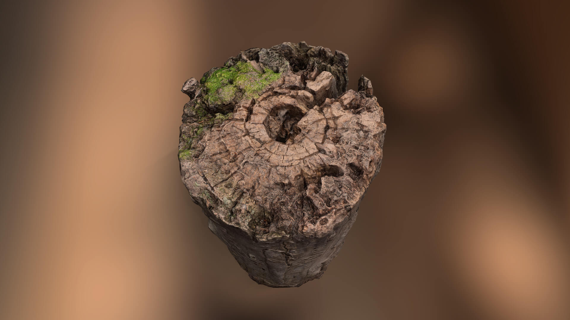 Tree Stump V2 - 3D Model by Grishmanovskij Anton