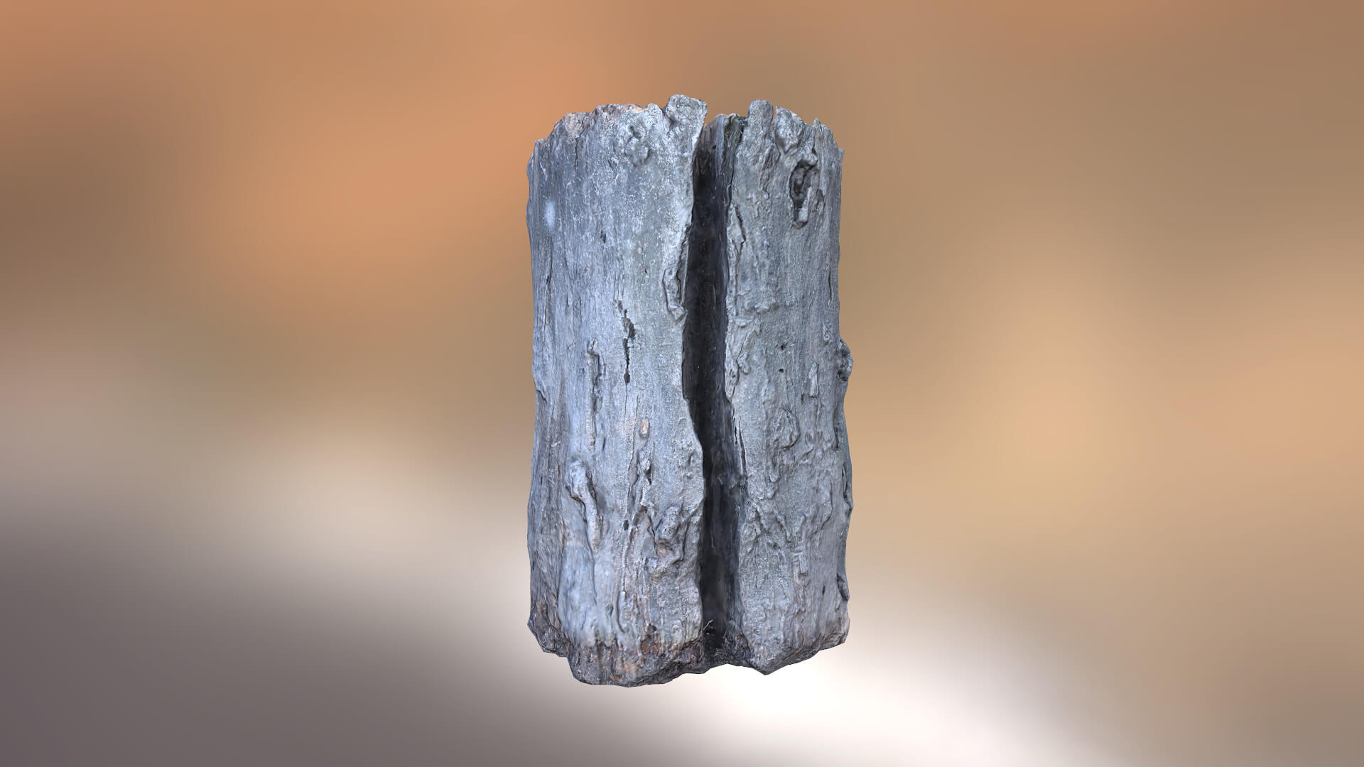 Tree Stump V2 - 3D Model by Grishmanovskij Anton