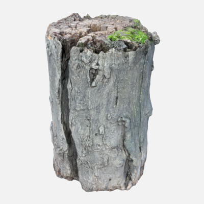 Unity Assets | Plants | Tree Stumps | RenderHub