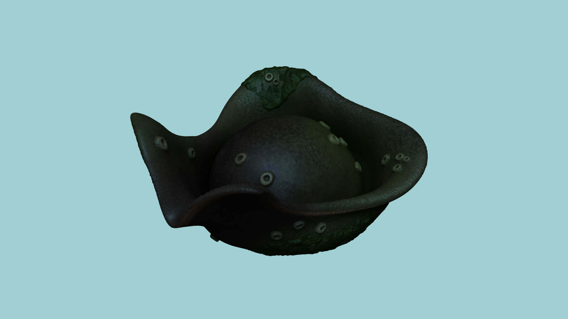 Pirate Hat 06 - Davy Johnes Hat 3D Model by gsommer