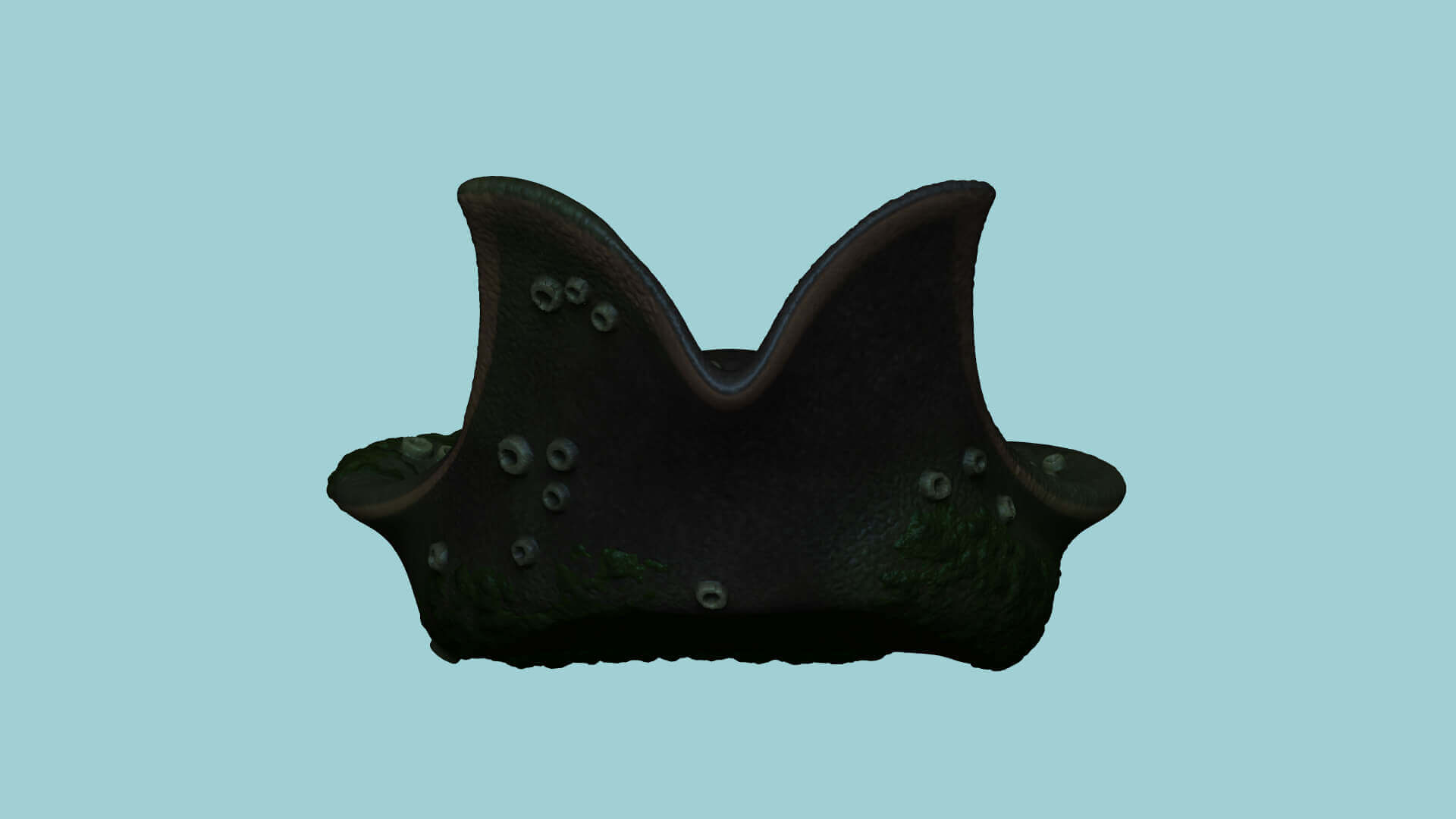 Pirate Hat 06 - Davy Johnes Hat 3D Model by gsommer