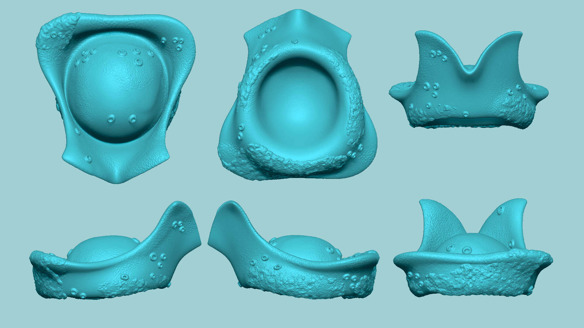 Pirate Hat 06 - Davy Johnes Hat 3D Model by gsommer