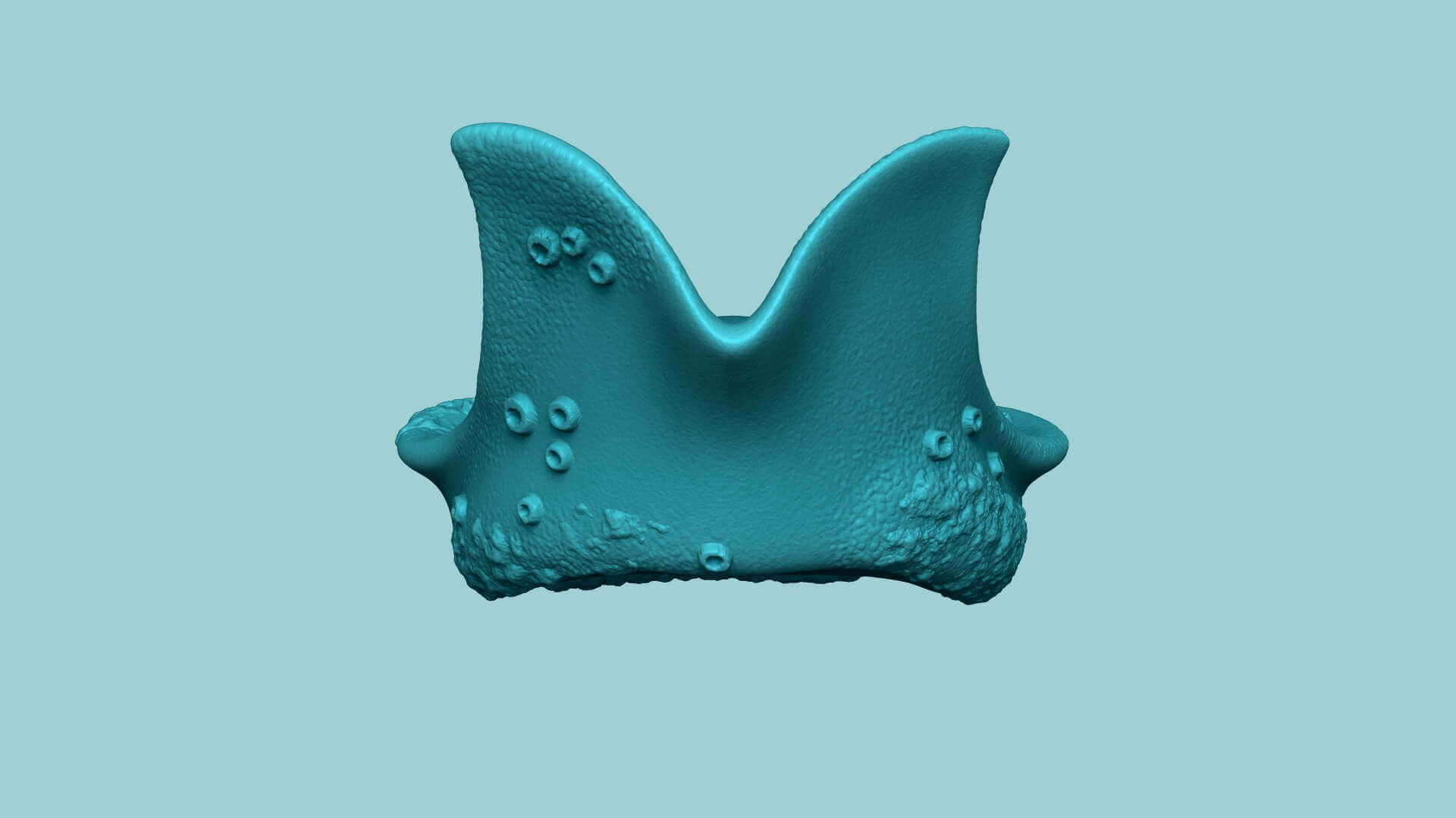 Pirate Hat 06 - Davy Johnes Hat 3D Model by gsommer