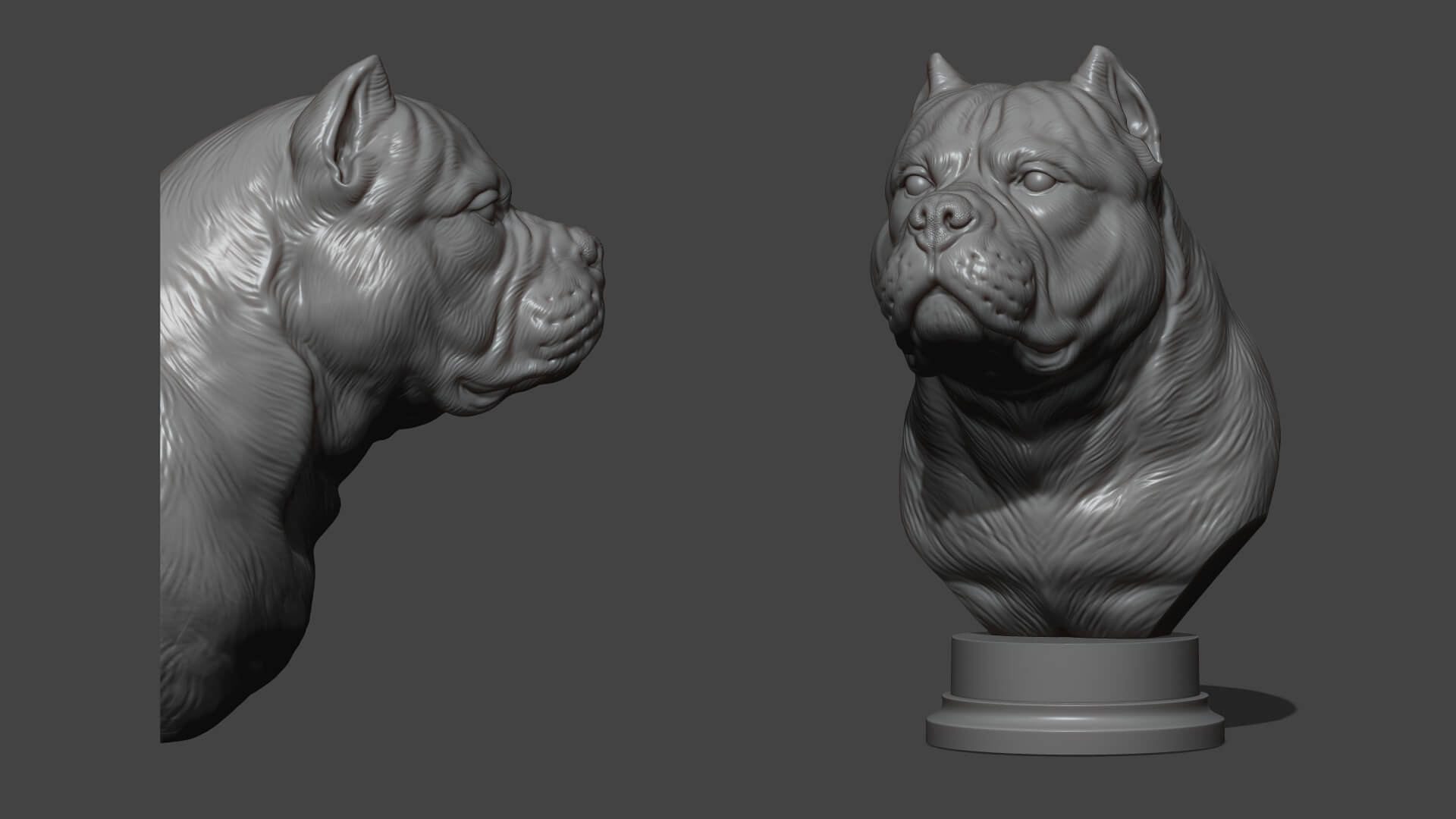 American Bully Bust Version 1 - 3D Model by guninnik81