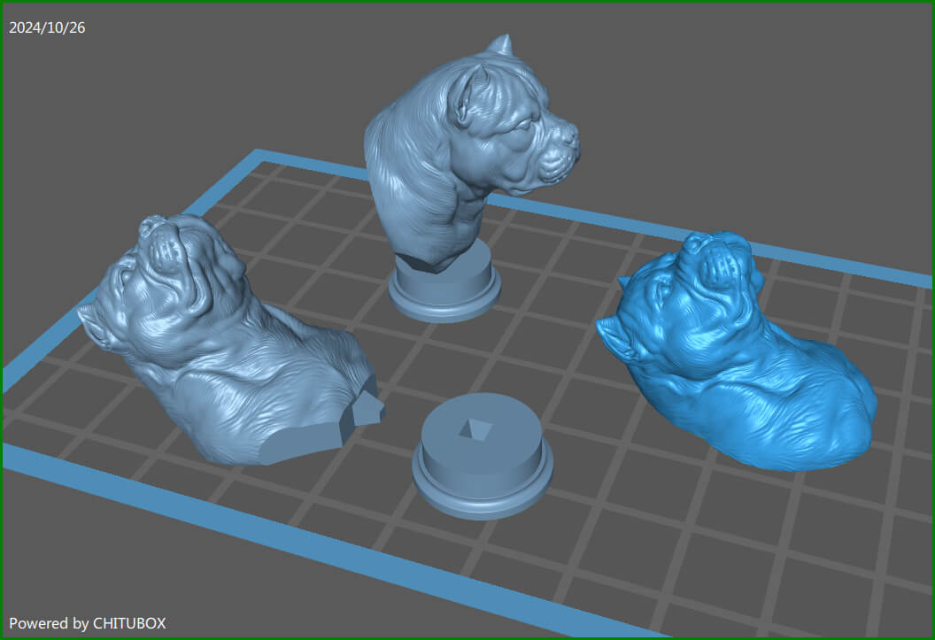American Bully Bust Version 1 - 3D Model by guninnik81