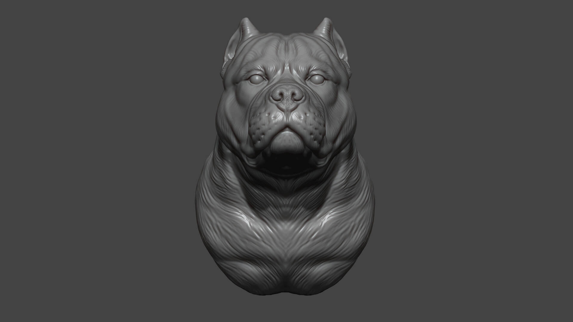 American Bully Bust Version 1 - 3D Model by guninnik81