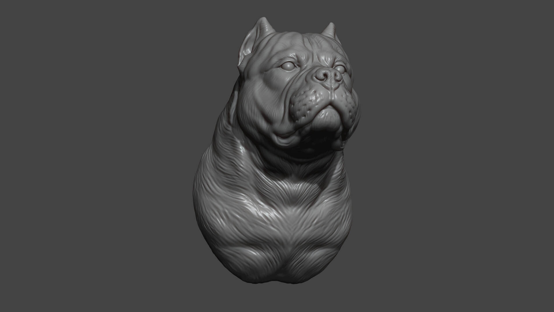 American Bully Bust Version 1 - 3D Model by guninnik81