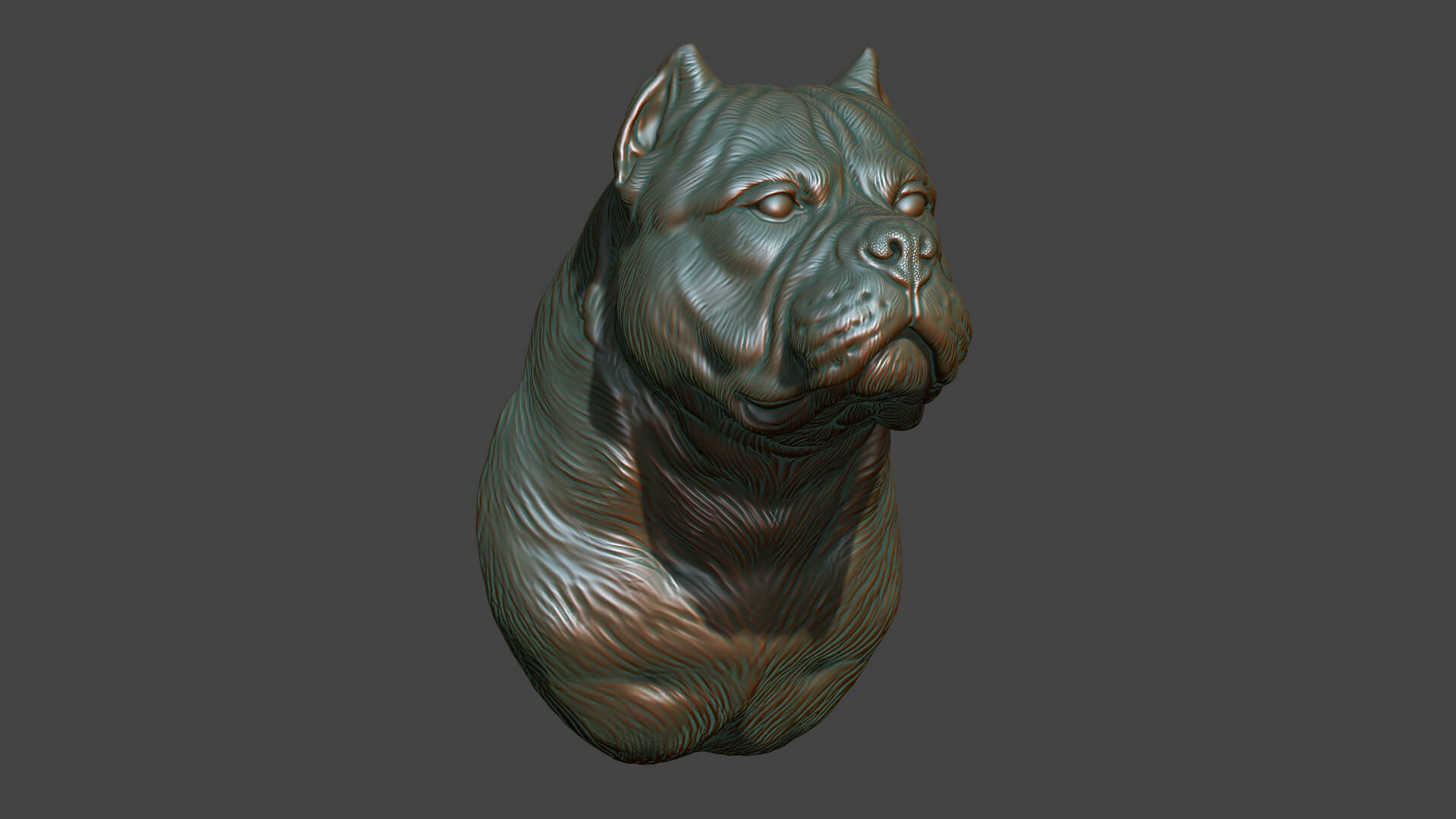 American Bully Bust Version 1 - 3D Model by guninnik81
