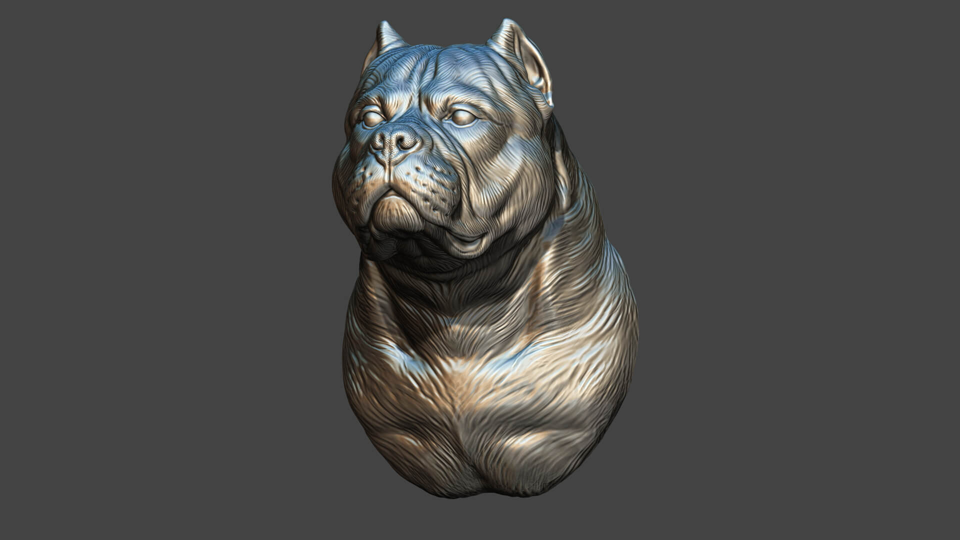 American Bully Bust Version 1 - 3D Model by guninnik81