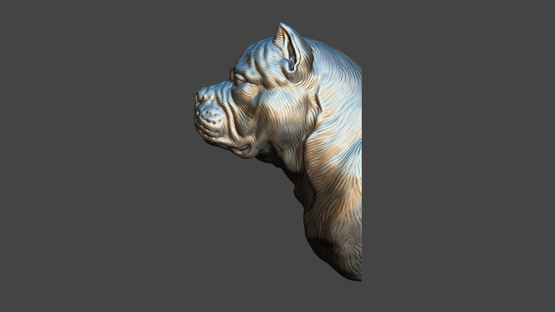 American Bully Bust Version 1 - 3D Model by guninnik81