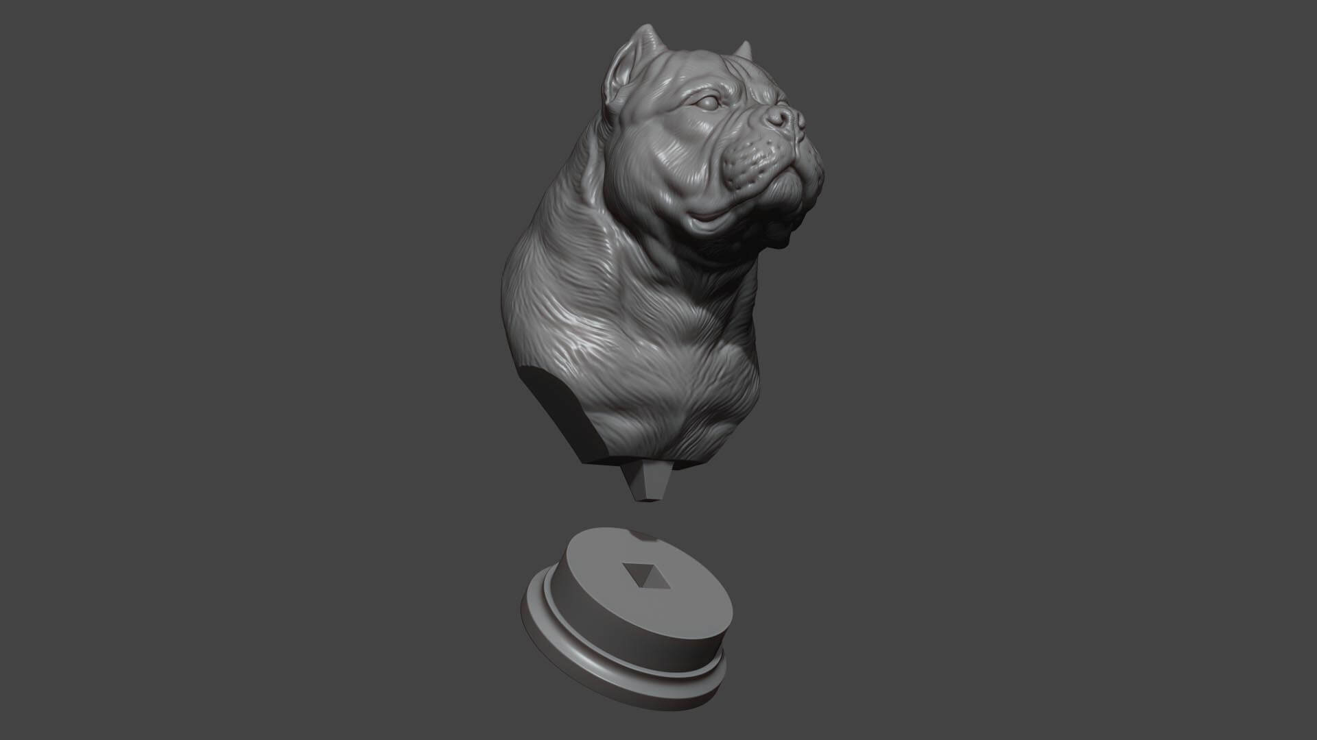 American Bully Bust Version 1 - 3D Model by guninnik81