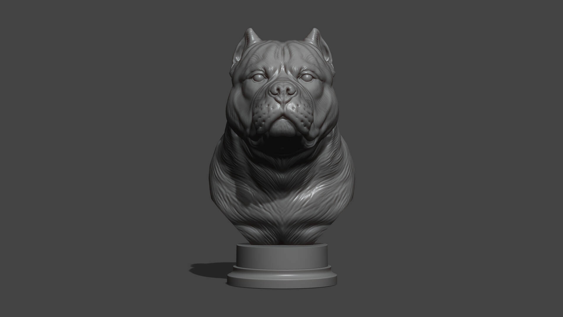 American Bully Bust Version 1 - 3D Model by guninnik81