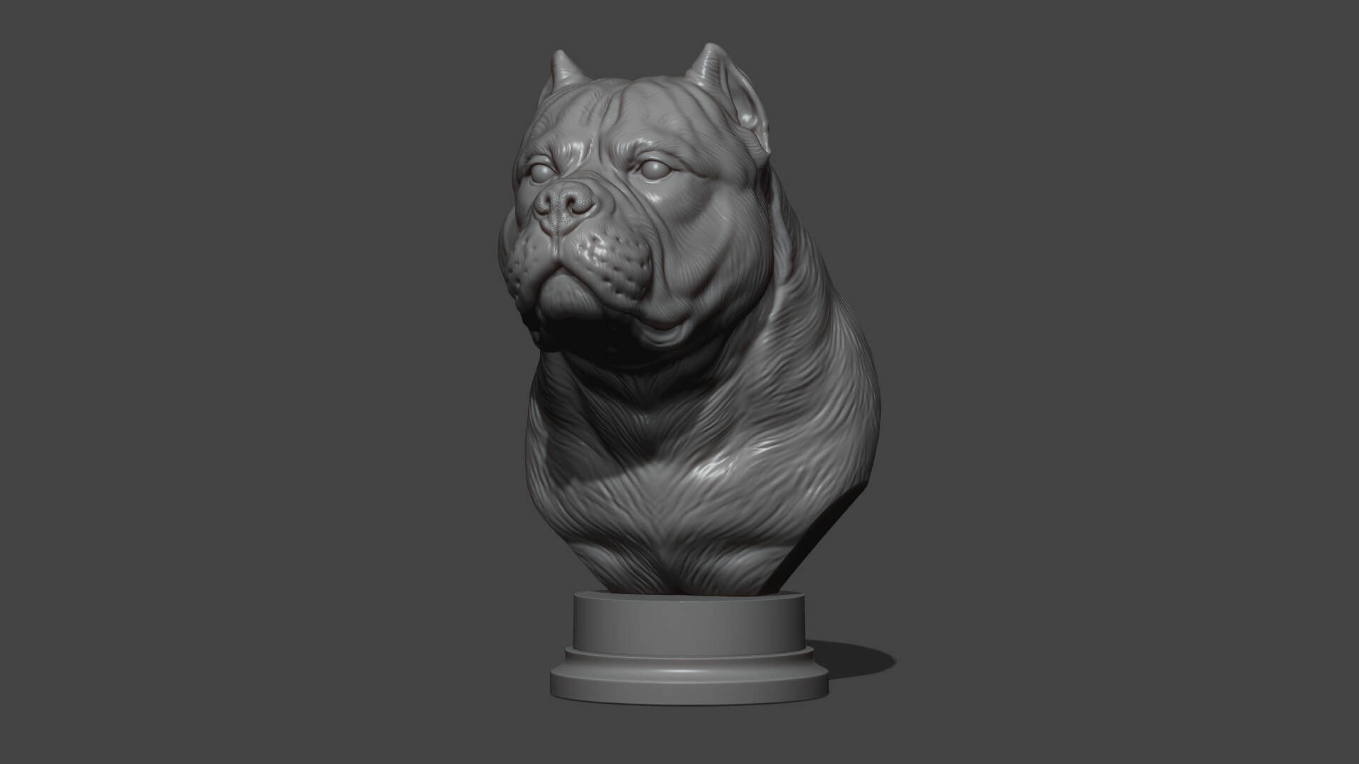 American Bully Bust Version 1 - 3D Model by guninnik81