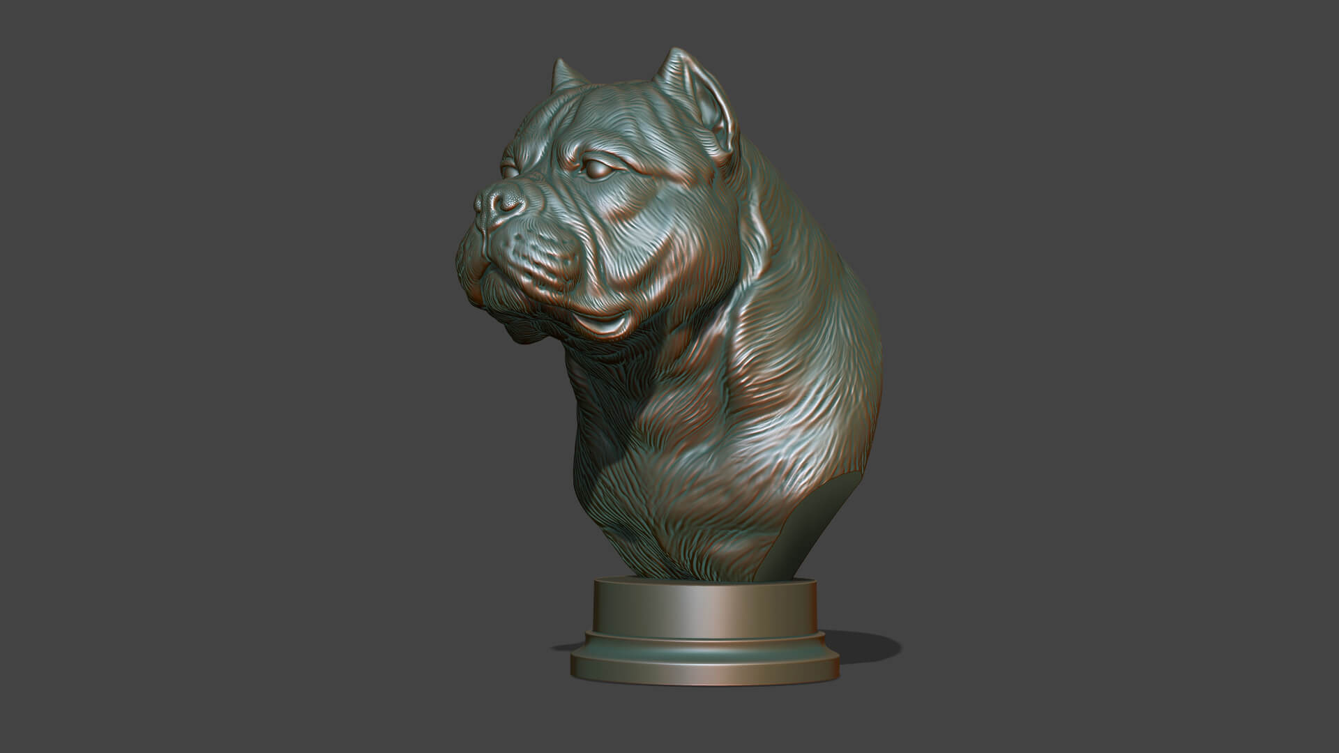 American Bully Bust Version 1 - 3D Model by guninnik81
