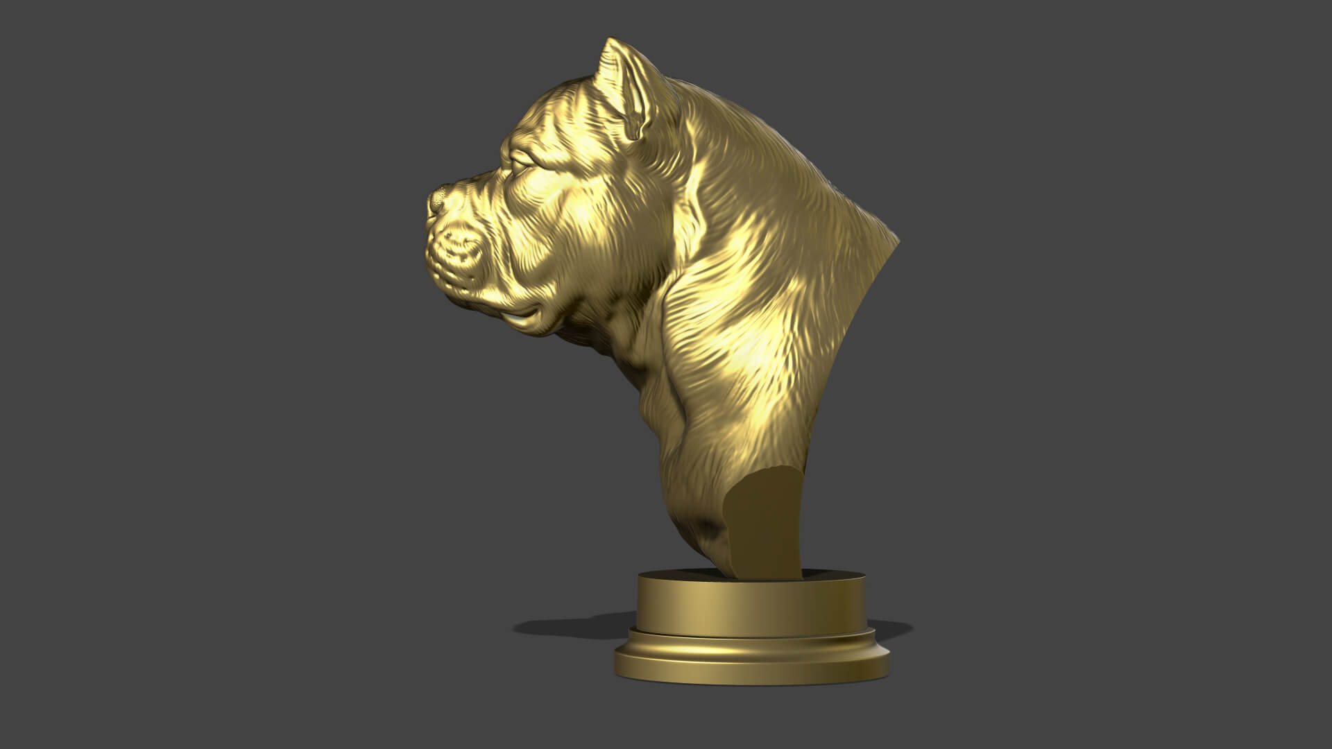 American Bully Bust Version 1 - 3D Model by guninnik81