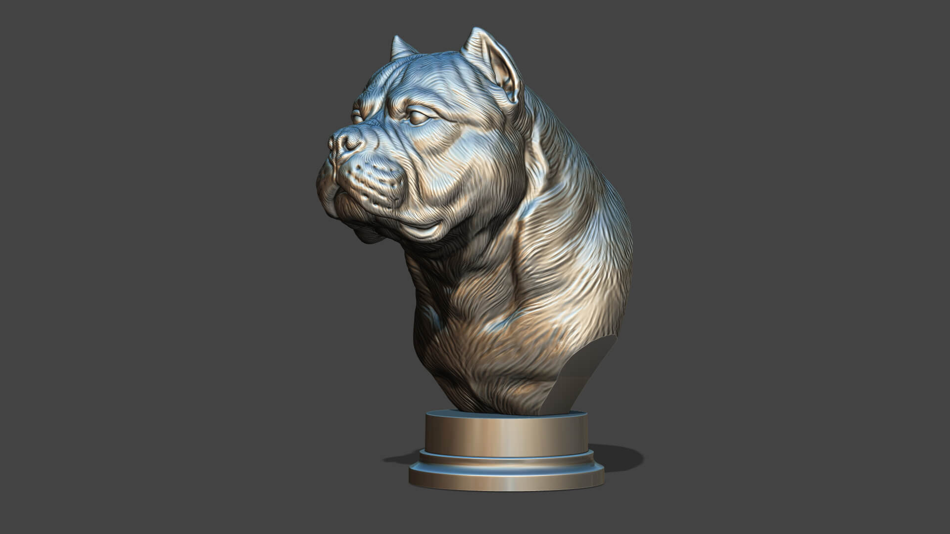 American Bully Bust Version 1 - 3D Model by guninnik81