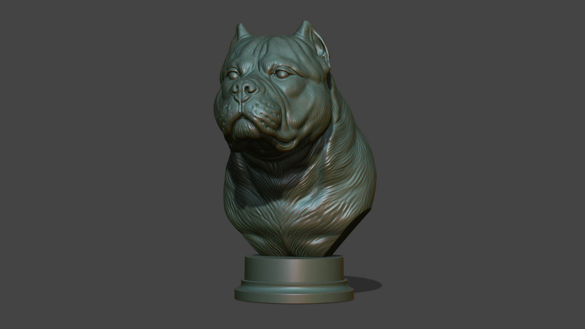 American Bully Bust - 3D Model by guninnik81