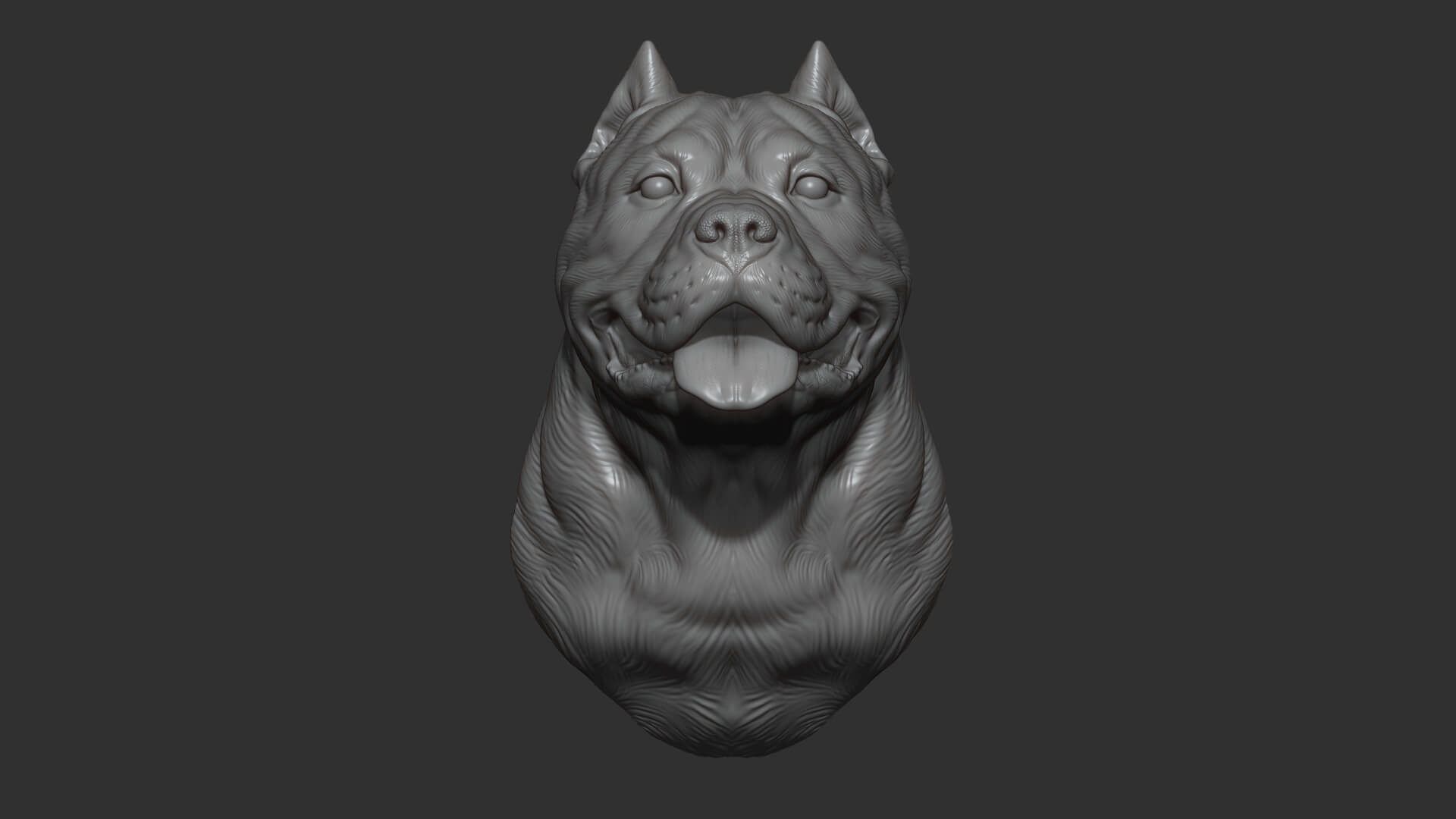 American Bully Head Version 1 - 3D Model by guninnik81