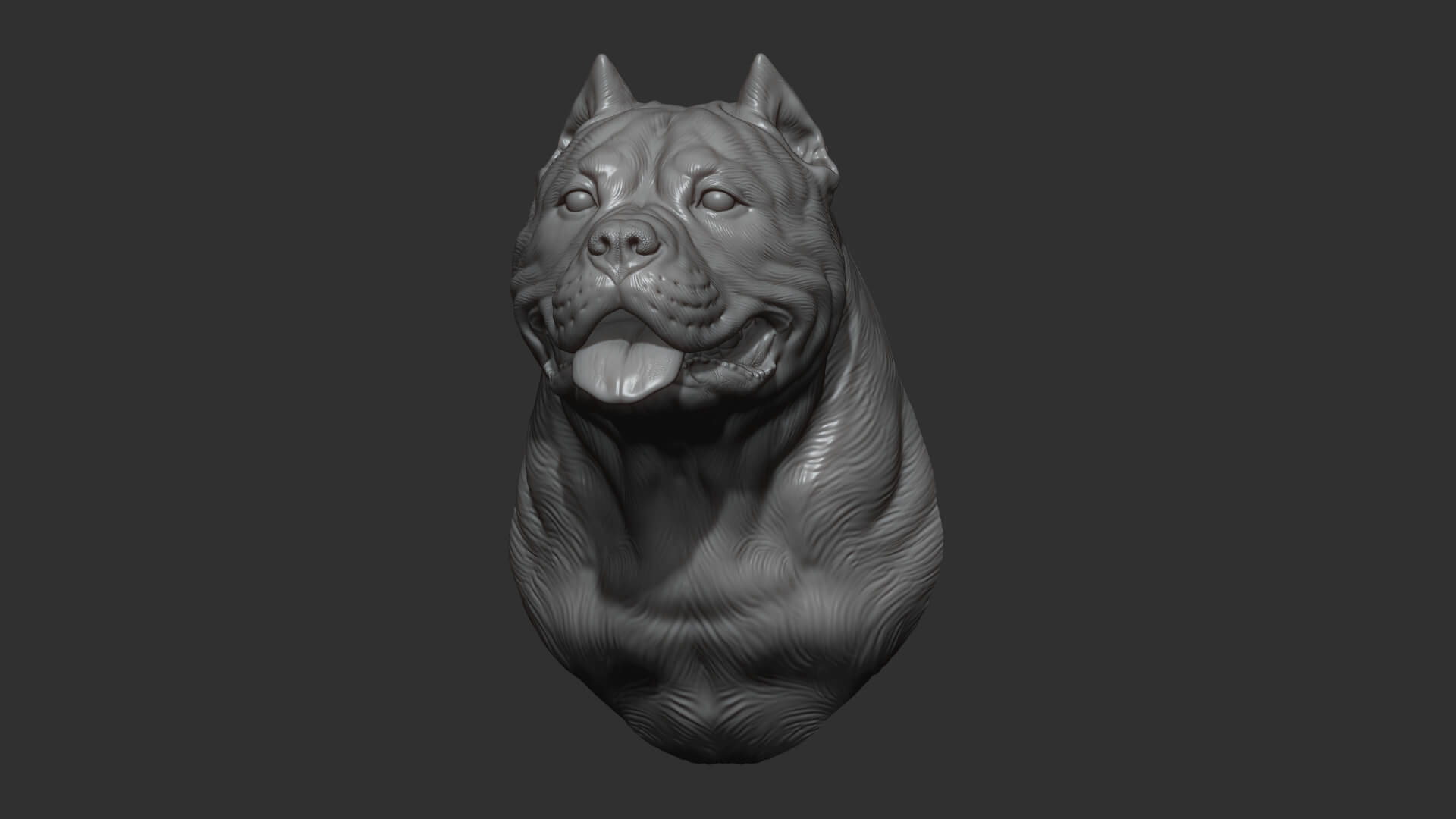 American Bully Head Version 1 - 3D Model by guninnik81