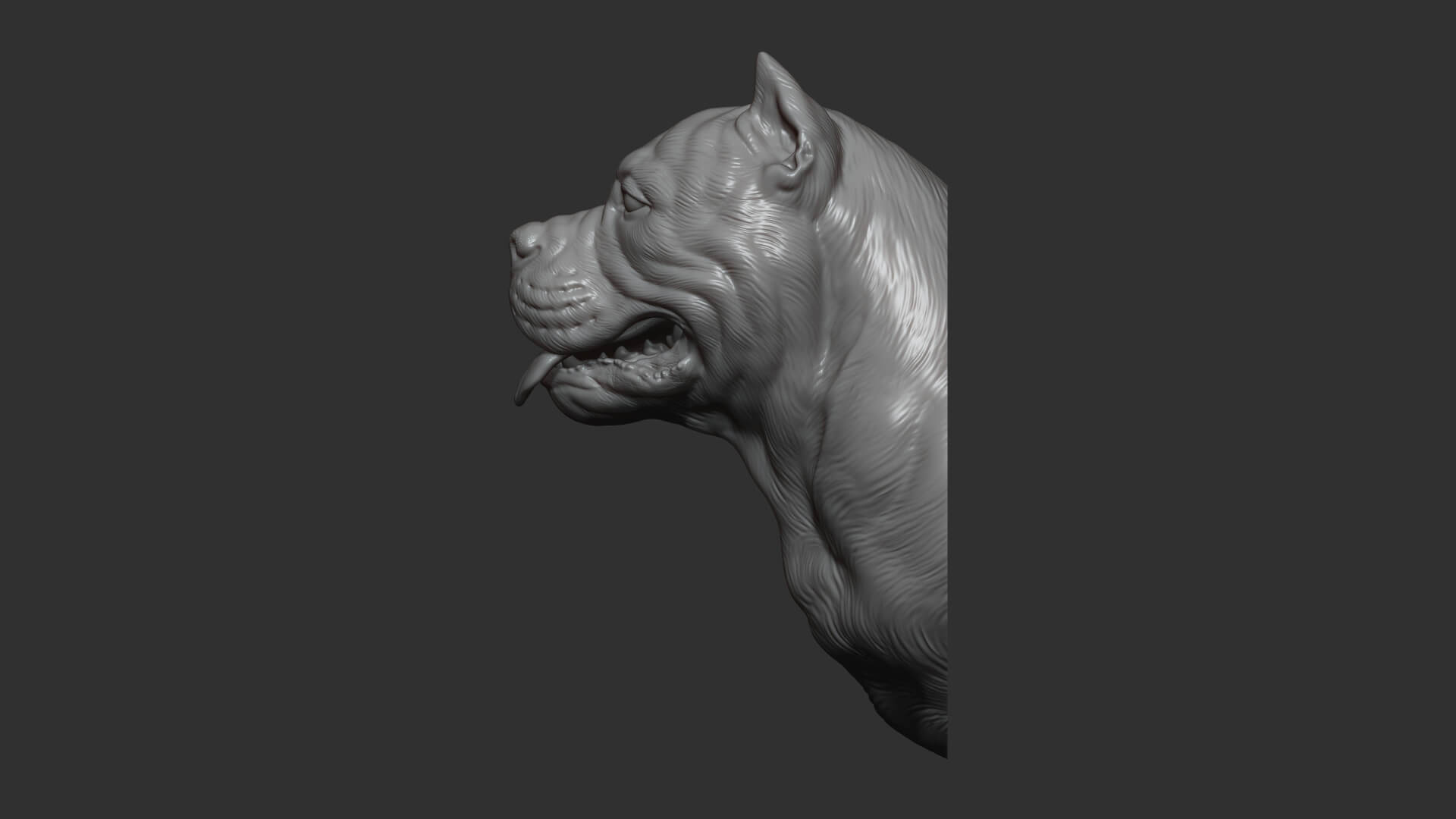 American Bully Head Version 1 - 3D Model by guninnik81