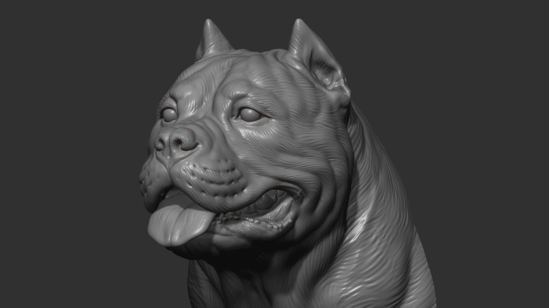 American Bully Head Version 1 - 3D Model by guninnik81