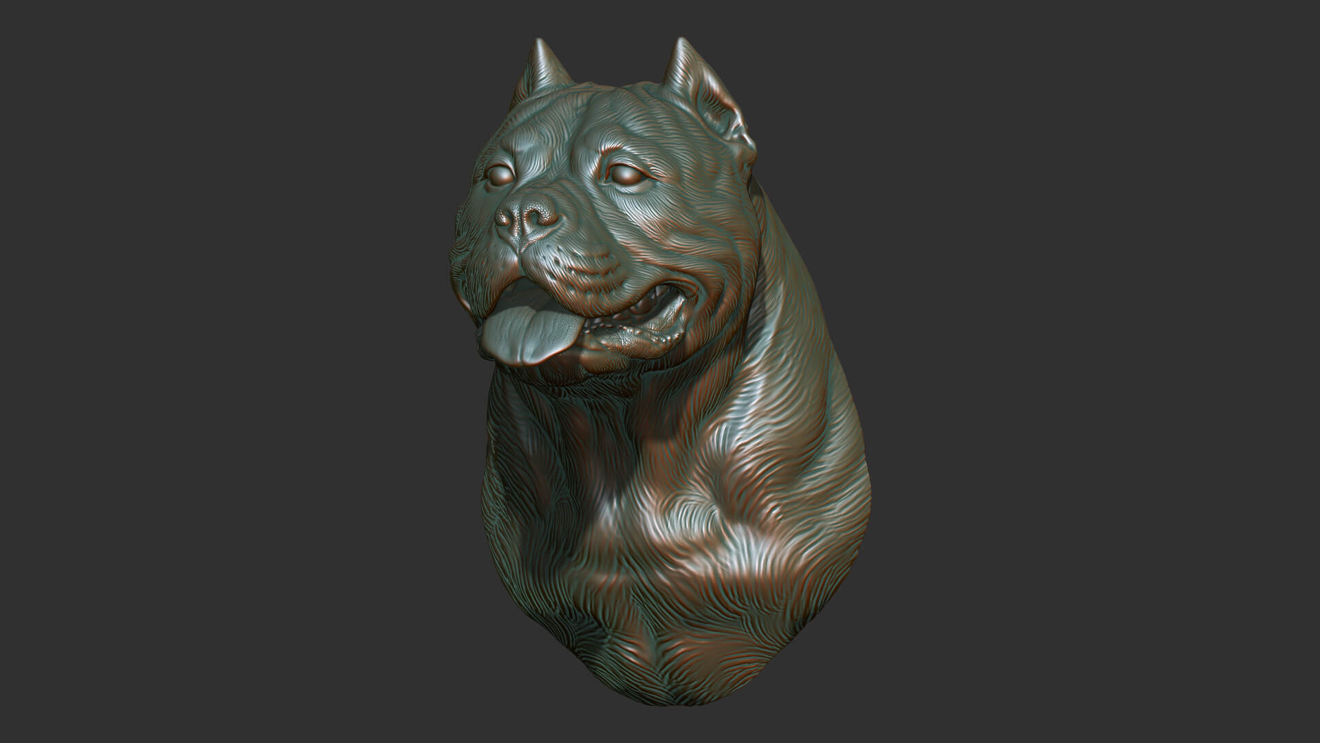 American Bully Head Version 1 - 3D Model by guninnik81