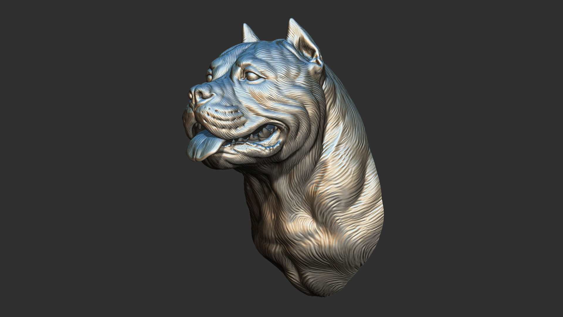 American Bully Head Version 1 - 3D Model by guninnik81