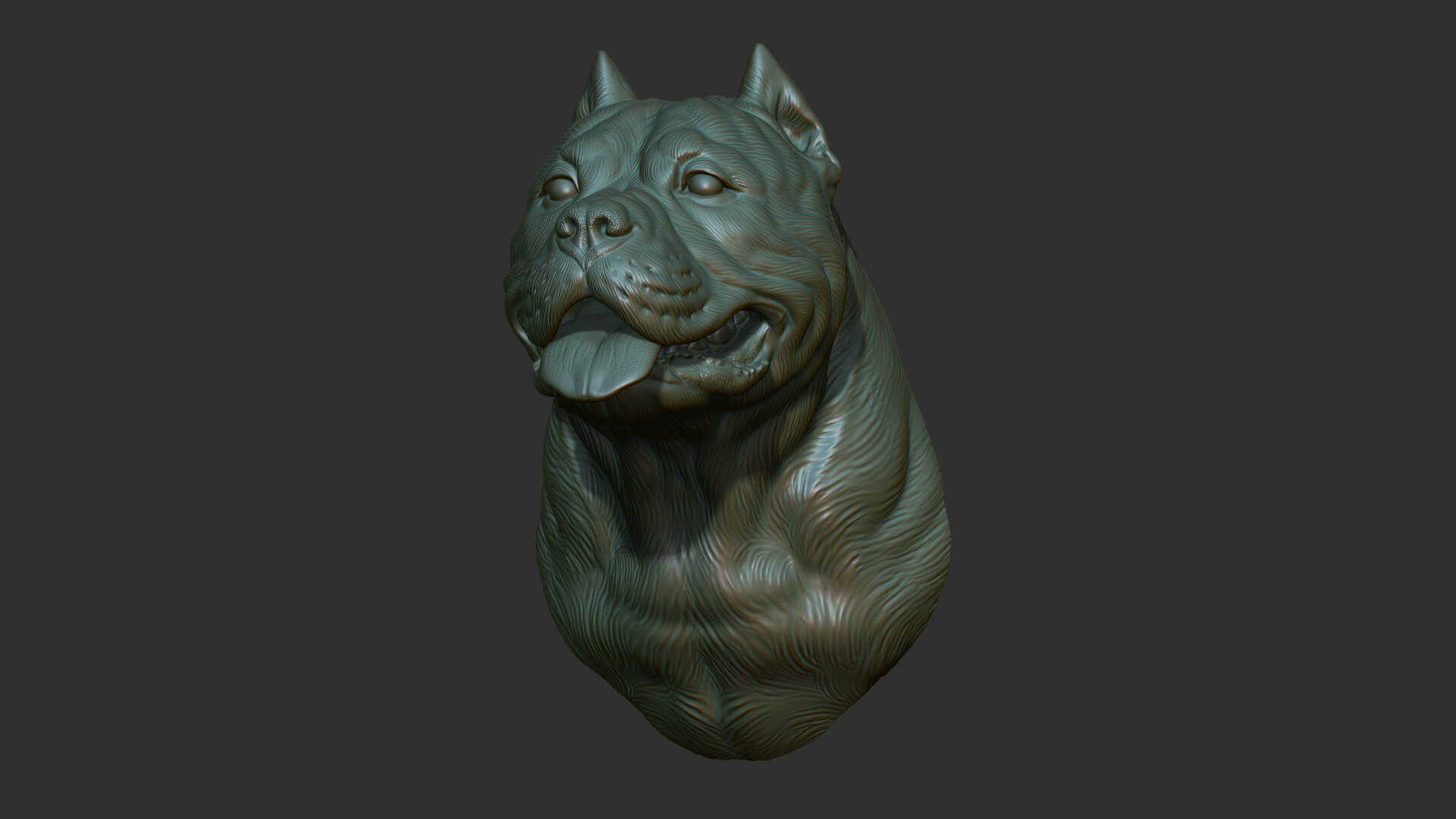 American Bully Head Version 1 - 3D Model by guninnik81