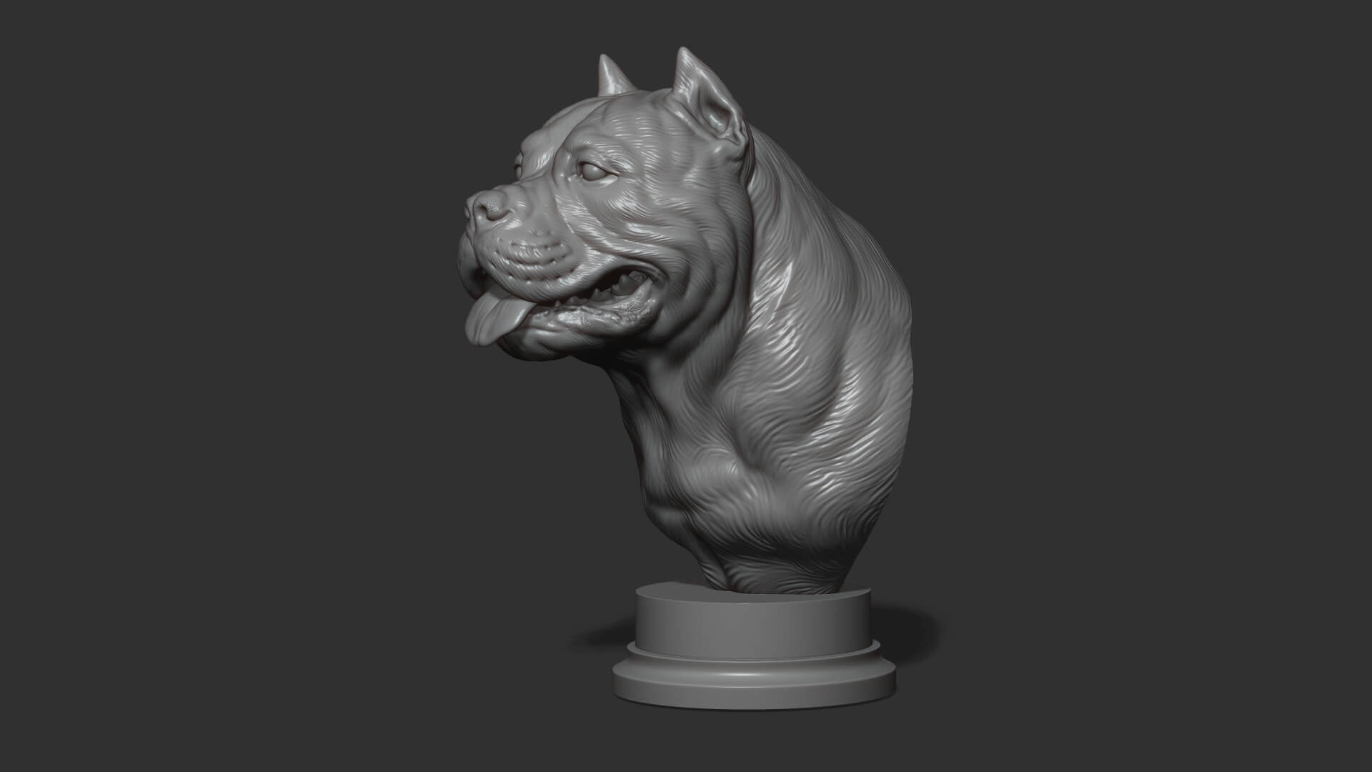 American Bully Head Version 1 - 3D Model by guninnik81