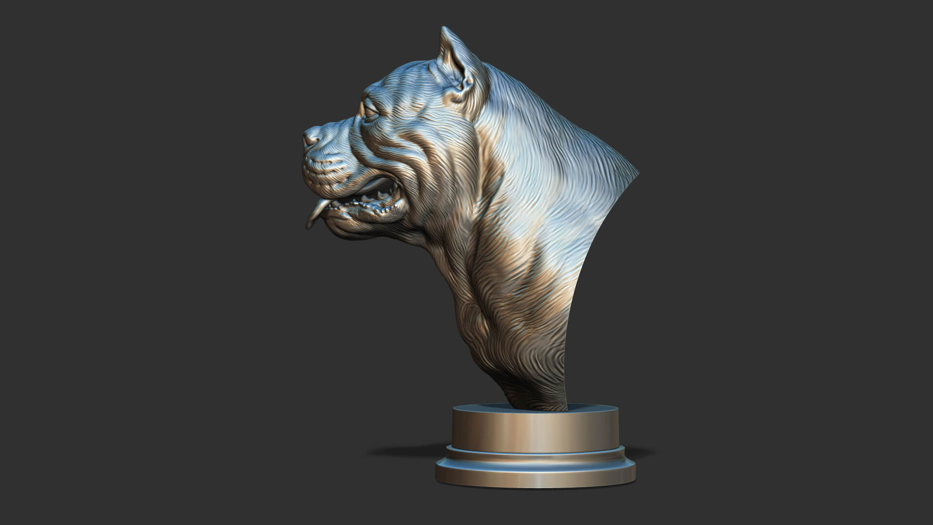 American Bully Head Version 1 - 3D Model by guninnik81