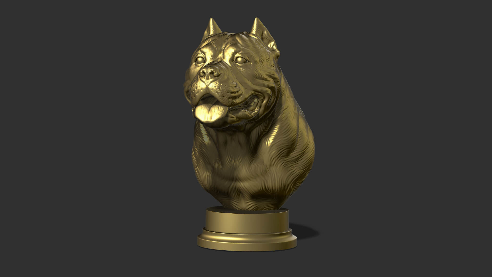 American Bully Head Version 1 - 3D Model by guninnik81