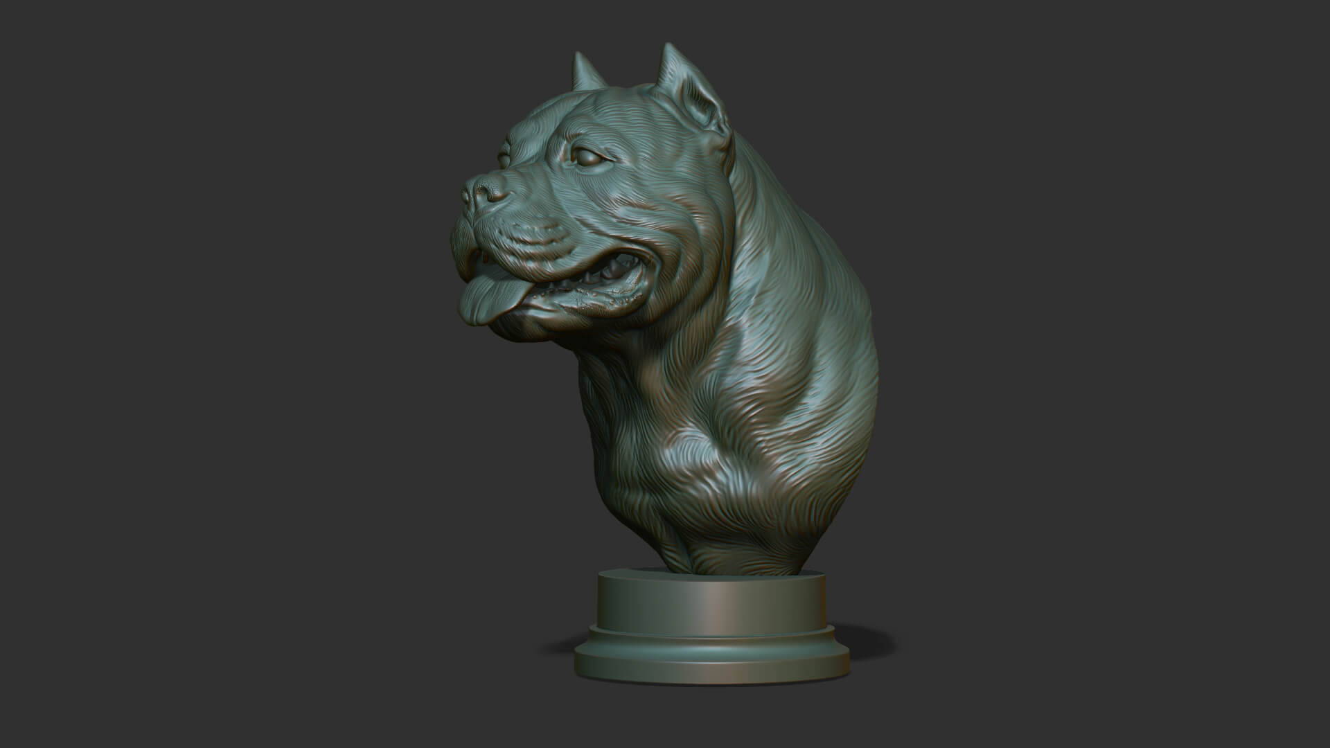 American Bully Head Version 1 - 3D Model by guninnik81
