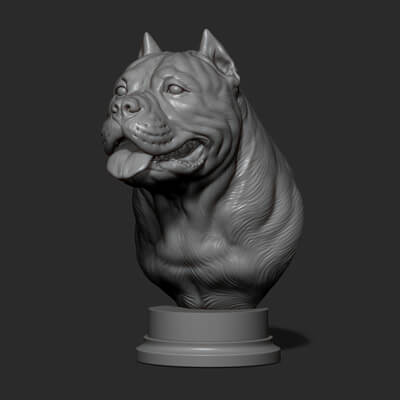 American Bully Head Version 1 - 3D Model by guninnik81