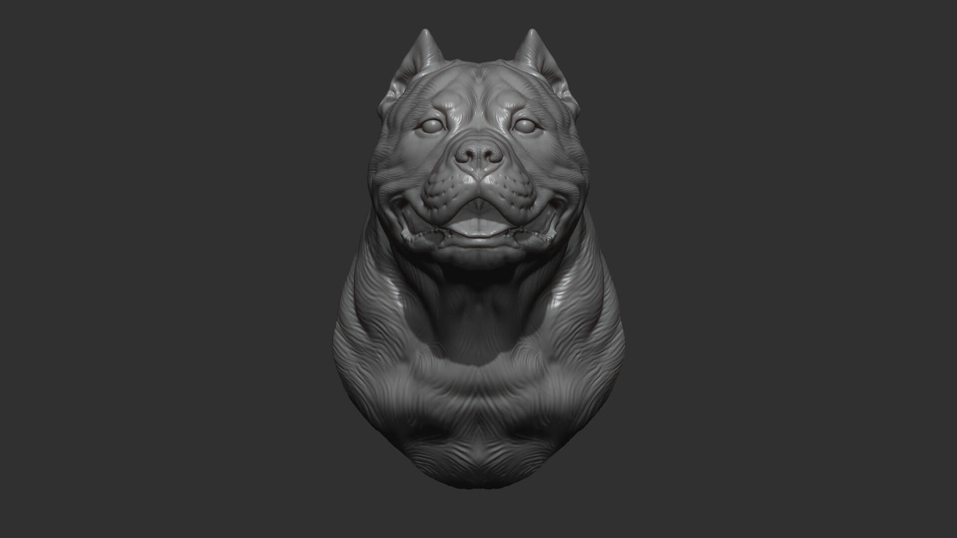 American Bully Head Version 2 - 3D Model by guninnik81