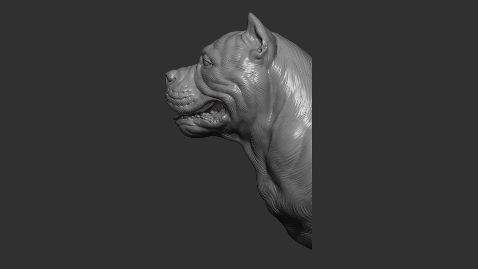 American Bully Head Version 2 - 3D Model by guninnik81