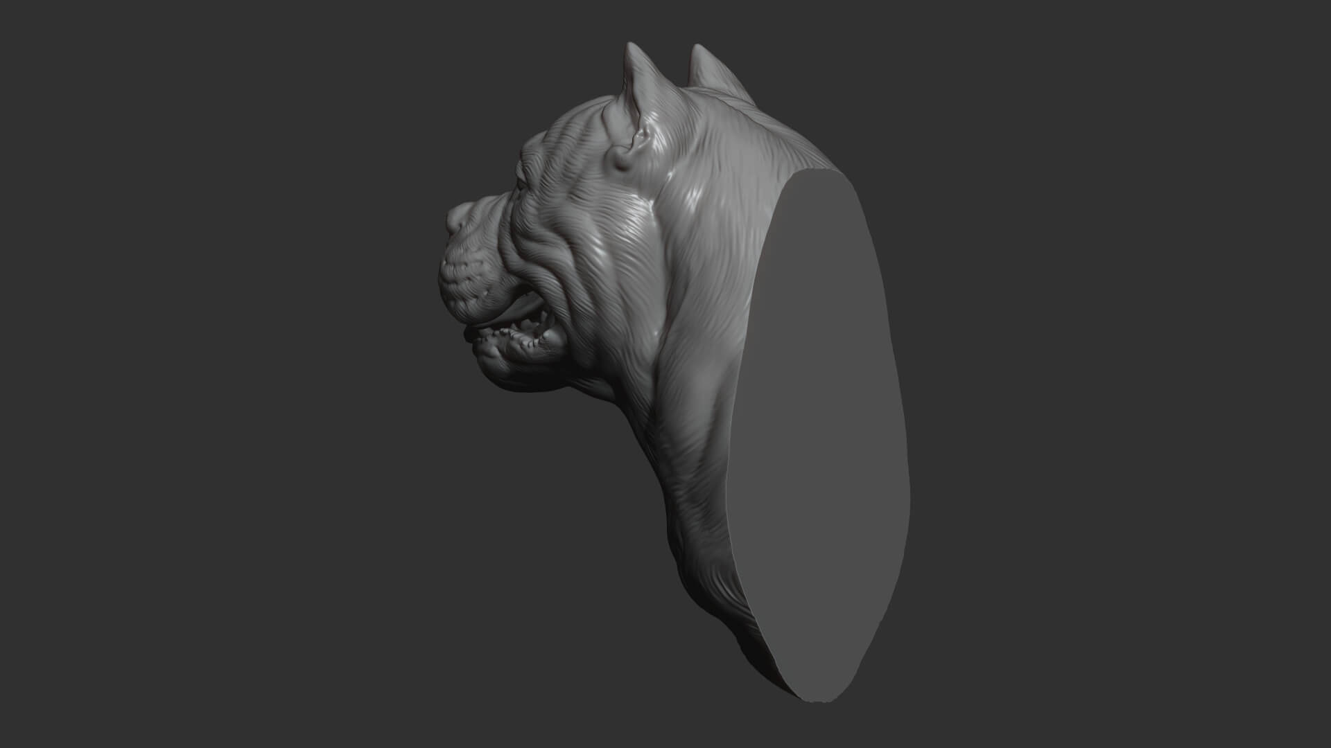 American Bully Head Version 2 - 3D Model by guninnik81