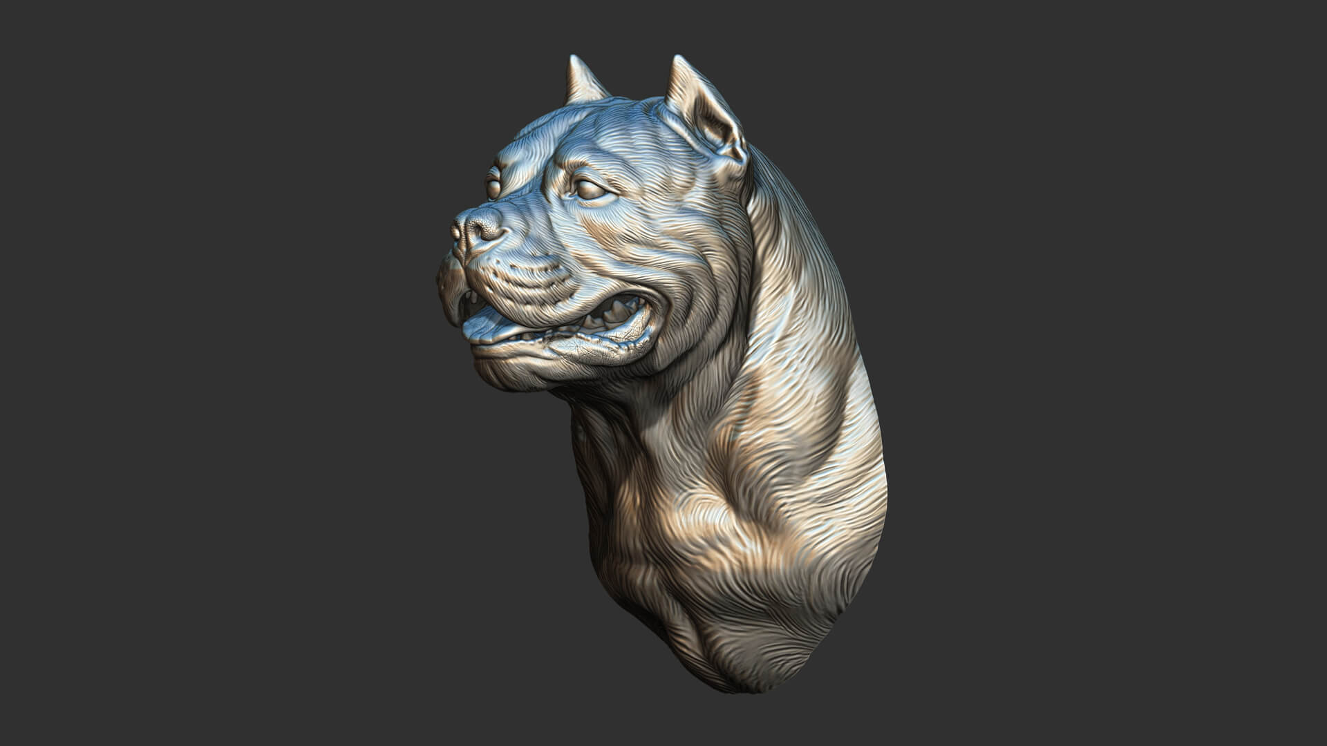 American Bully Head Version 2 - 3D Model by guninnik81