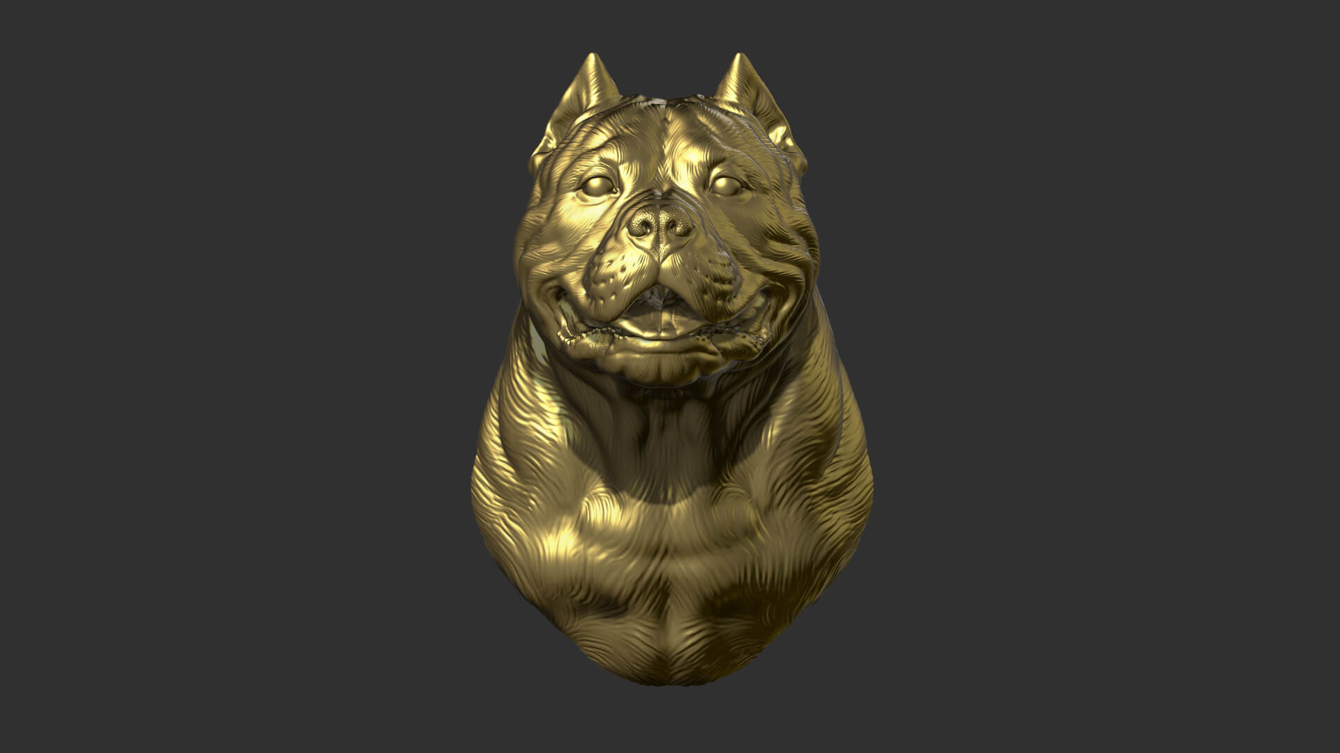 American Bully Head Version 2 - 3D Model by guninnik81