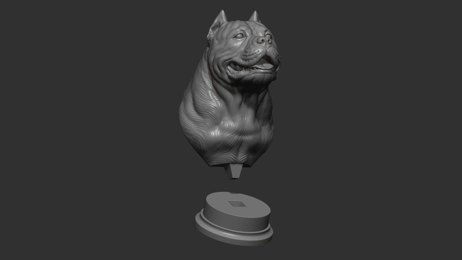 American Bully Head Version 2 - 3D Model by guninnik81