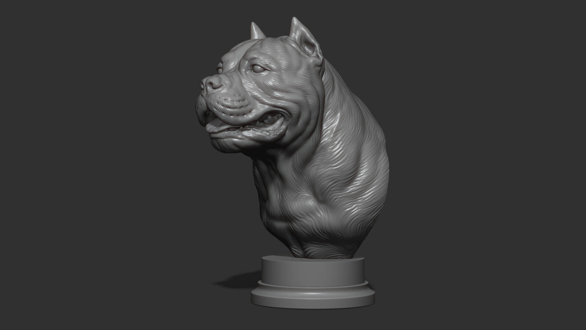American Bully Head Version 2 - 3D Model by guninnik81