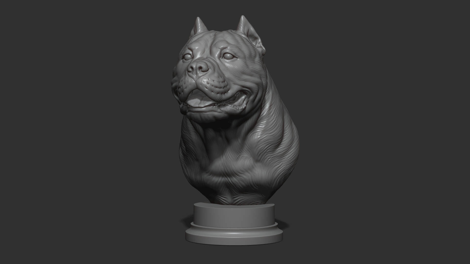 American Bully Head Version 2 - 3D Model by guninnik81