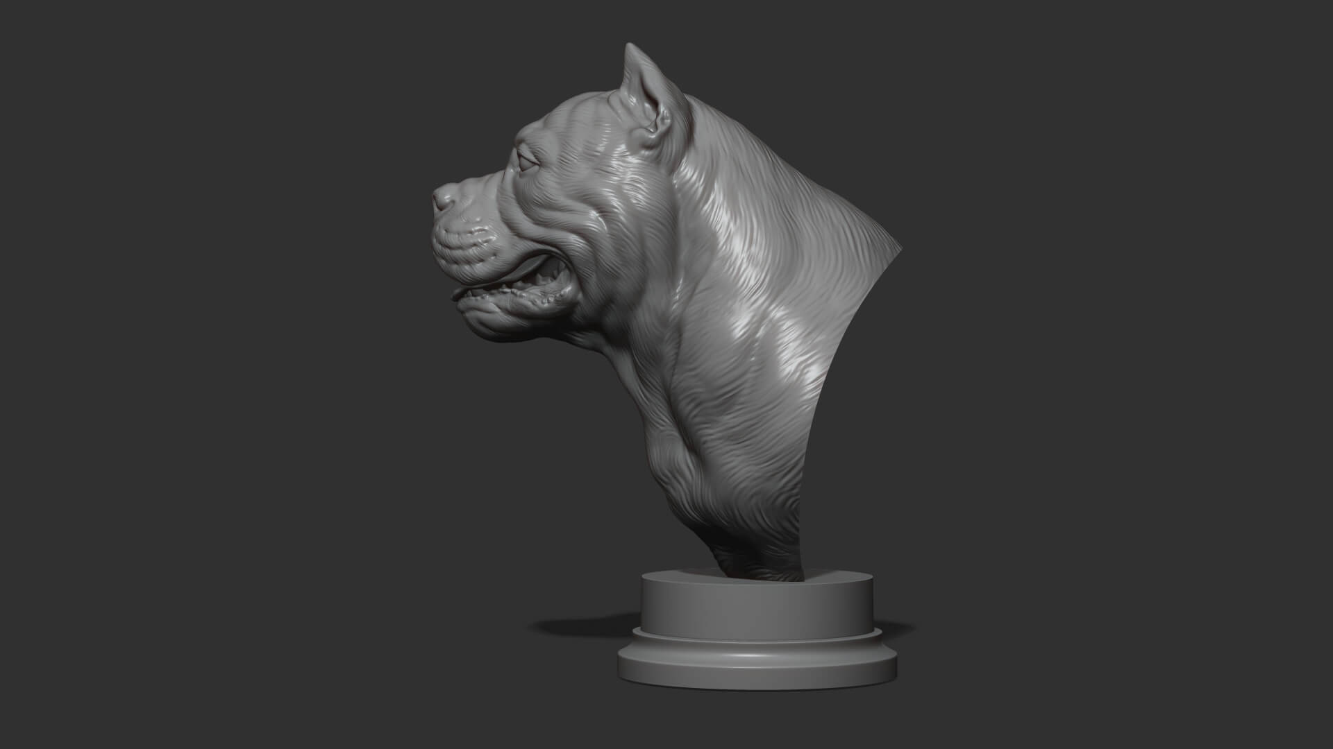 American Bully Head Version 2 - 3D Model by guninnik81