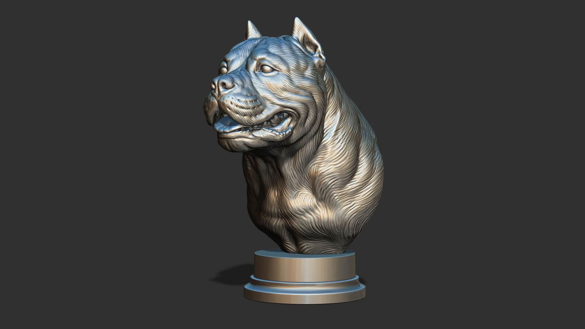 American Bully Head Version 2 - 3D Model by guninnik81