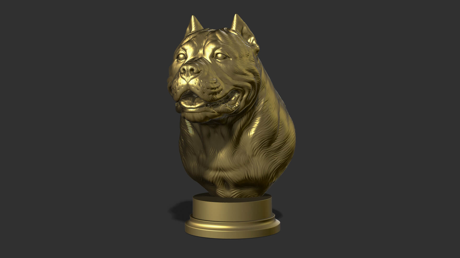 American Bully Head Version 2 - 3D Model by guninnik81