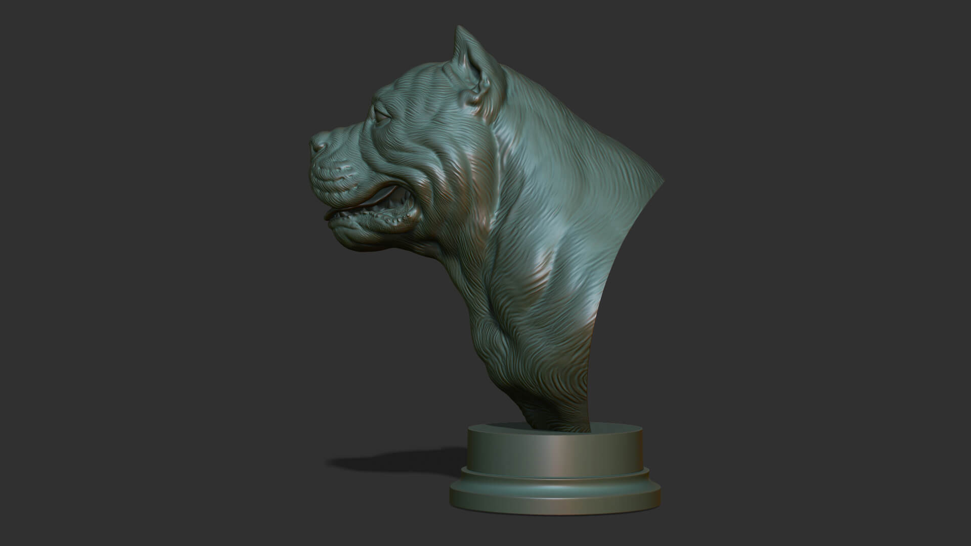 American Bully Head Version 2 - 3D Model by guninnik81