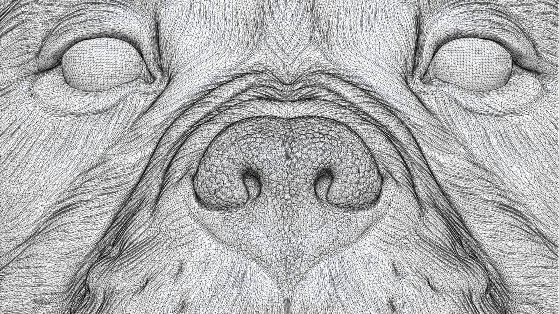 American Bully Head Version 2 - 3D Model by guninnik81