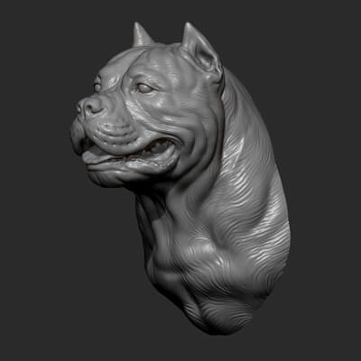 American Bully Head Version 2 - 3D Model by guninnik81