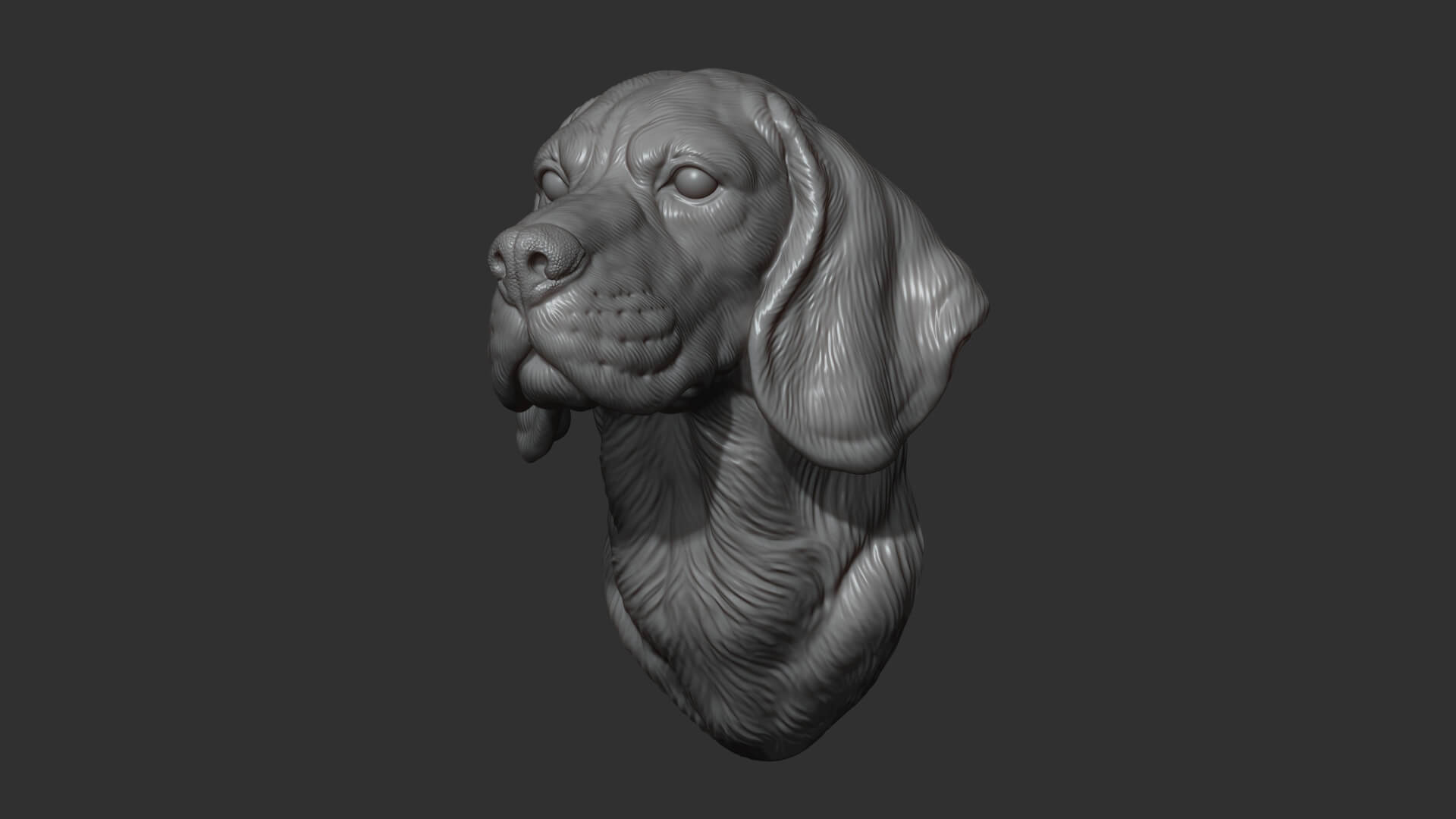 Beagle Dog Bust - 3D Print Model by guninnik81