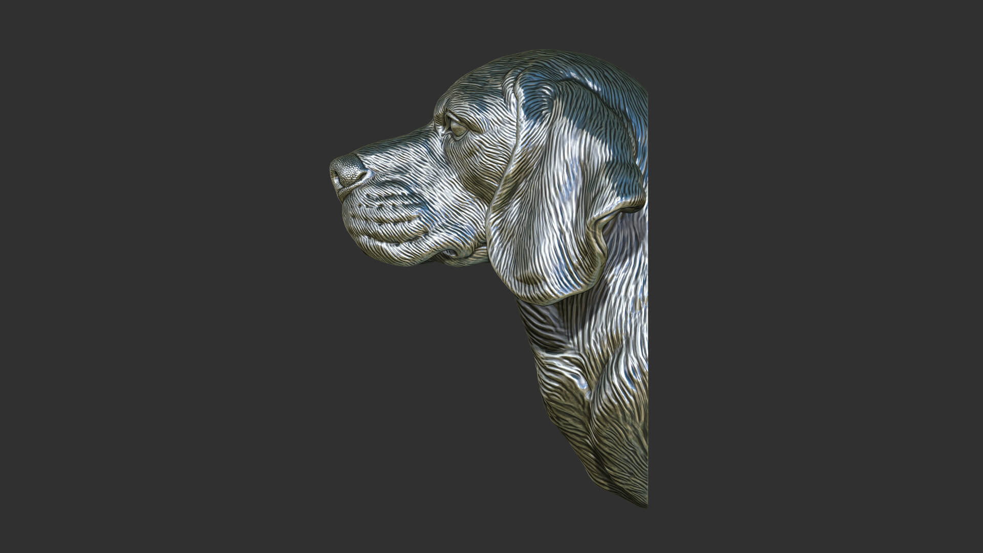 Beagle Dog Bust - 3D Model by guninnik81